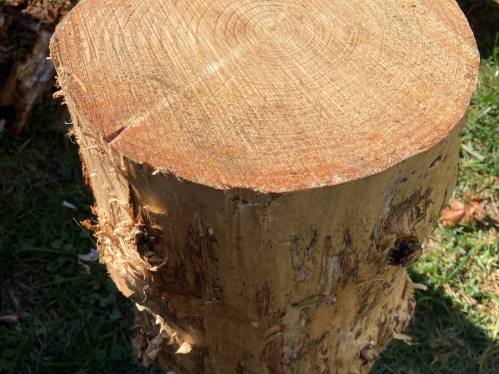 Metalsmith Stump | Handmade by Kennedy