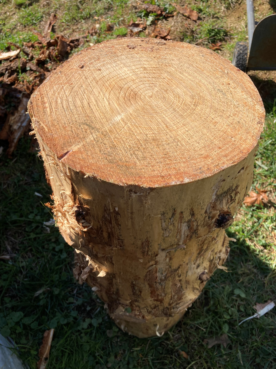 Metalsmith Stump | Handmade by Kennedy